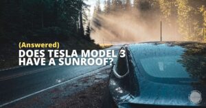 Tesla Joe Mode: What It Is And How It Works?