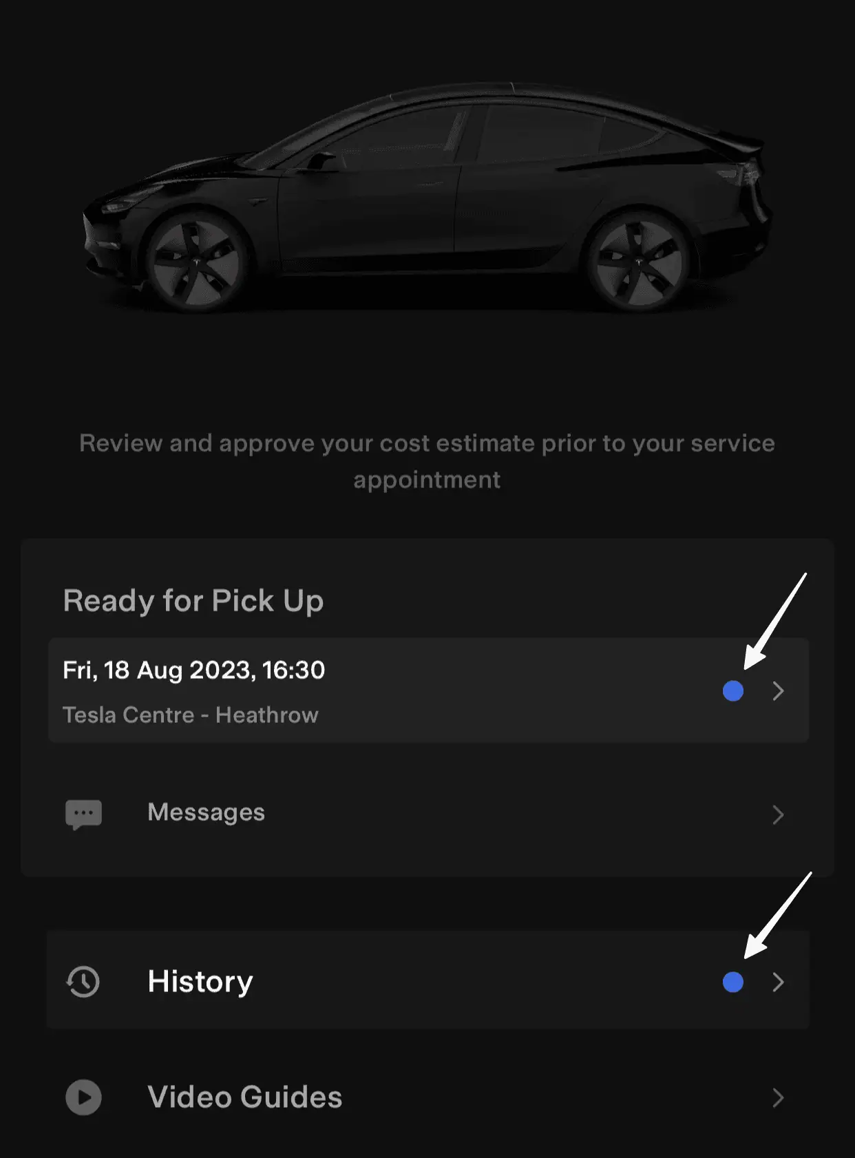 What’s that New Blue Dot on Tesla Screen? 🔵